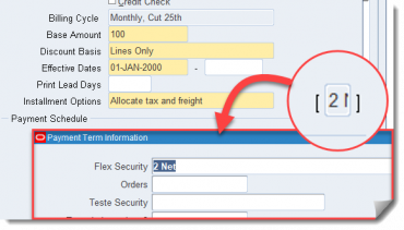 O que são os incríveis flexfields do Oracle E-Business Suite