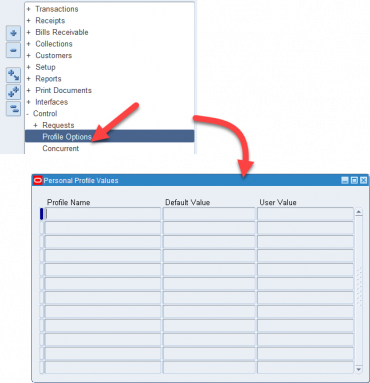 O que são profiles do Oracle EBS